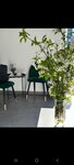 Strekoza Studio (Gagaryna Street No:38), güzellik salonu  Lida'dan