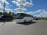 Alfa Bus (vulica Valcheckaga No:19, Navagrudak), otobüs taşımacılığı  Novogrudok'tan