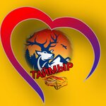 Автомагазин Таймыр 645 км (prospekt Revolyutsii No:65, selo Losevo), otomobil yedek parçaları  Voronejskaya oblastından