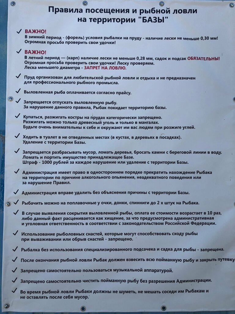 Balık çiftçiliği ve toptancıları Клёв как на чёрных камнях, Moskova ve Moskovskaya oblastı, foto