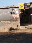 Janota (Luanda Province, Municipality of Luanda, Prenda), spor ve jimnastik salonları  Loanda'dan