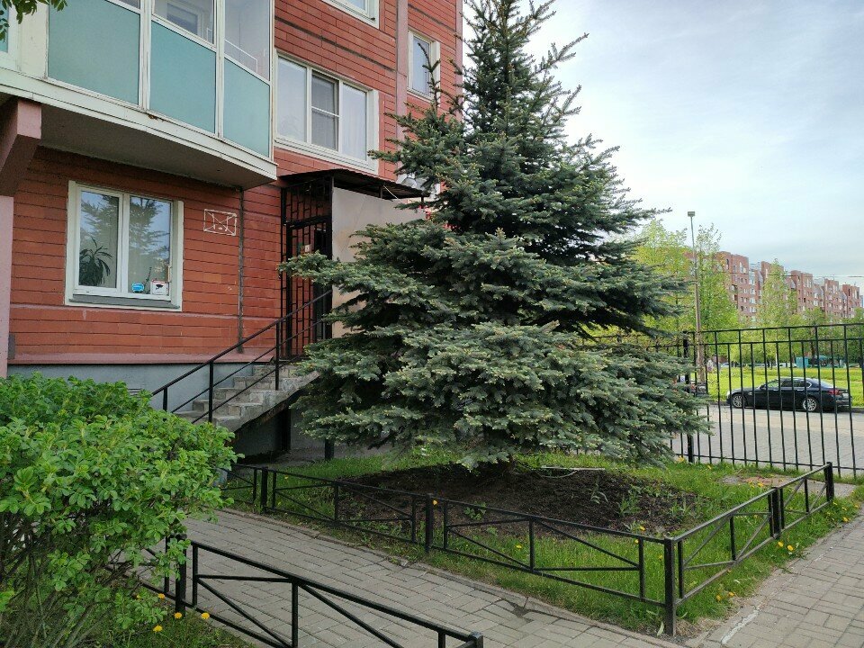 Bina, site yönetimi Карпинского 33, Saint‑Petersburg, foto