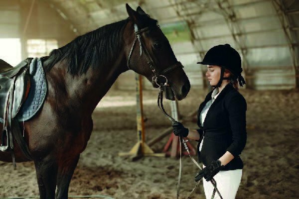 Hayvan barınakları, kulüpleri ve otelleri Safari At Çiftliği, Ankara, foto