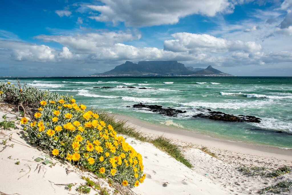 Otel Balfour Place, Capetown, foto