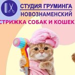 Grooming Salon (Andreyevskaya ulitsa No:41, Karasunskiy City administrative district, zhiloy rayon Novoznamenskiy), evcil hayvan kuaförleri  Krasnodar'dan