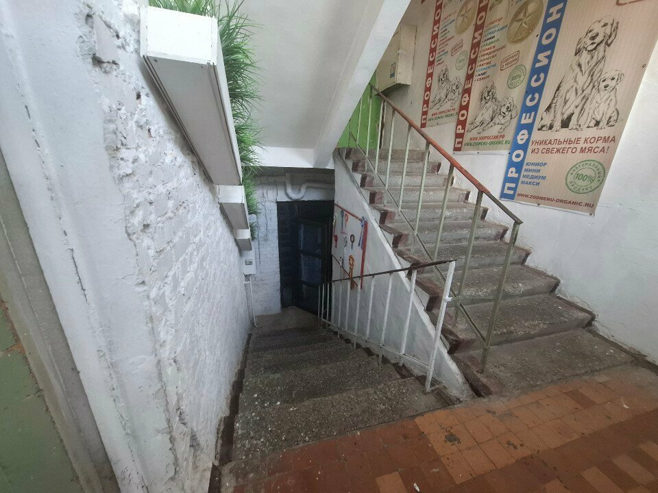 Hayvanat bahçesi merkezi Догс-аф, Tula, foto