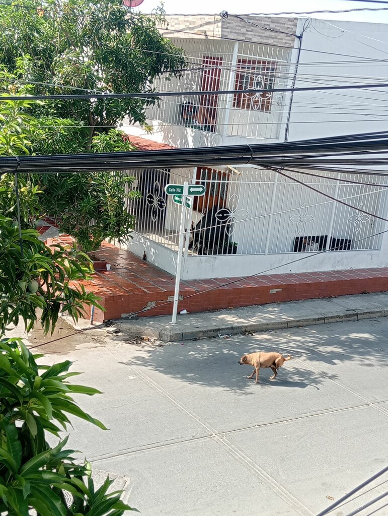 Ev sineması sistemleri Los Nogales, , foto