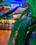 Qulis Bistro Pub (Edirne, Edirne Merkez, 1. Murat Mah., Bülent Alamut Cad., 17), bar  Edirne'den