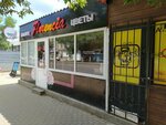 Florencia (Kasym Amanzholov Street No:3Б), çiçekçiler  Karağandı'dan