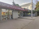 Plants House. Almaty (Almaty, prospekt Yermeka Serkebayeva), fidan yetiştiriciliği  Almatı'dan