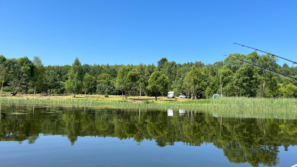 Kamp alanları Вороновка, Yaroslavskaya oblastı, foto