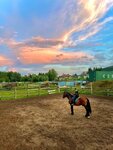 Balashikhinsky (Moscow Region, Balashikha Urban District, Shchyolkovskoye shosse, 24-y kilometr, уч1), at ve binicilik kulüpleri  Moskova ve Moskovskaya oblastından