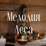 Melody of forest (No:71, dachny posyolok Ozyorny), resort oteller, tesisler  Kalujskaya oblastından