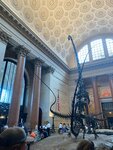 The New York Historical Society Museum and Library (Central Park West No:170, Manhattan Borough), müzeler ve sanat galerileri  New York'tan