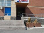 Gitara kurstary (Kúıshi Dına kóshesi No:14), müzik okulları ve konservatuarlar  Astana'dan