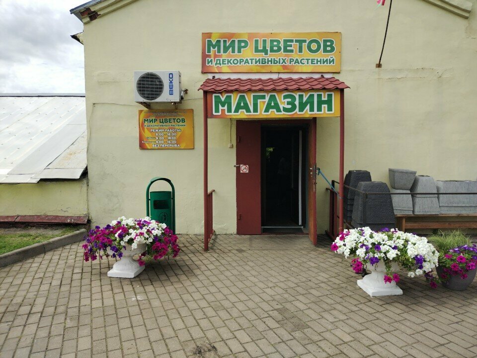 Çiçekçiler Mir Tsvetov i Dekorativnykh Rasteny magazin № 2 Kpup Mogilevzelenstroy, Moguilev, foto