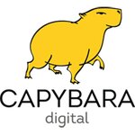 Capybara digital (Yubileynaya Street No:1А), bilişim firmaları  Tolyatti'den (Togliatti'den)
