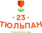Тюльпан23 (Vostochnaya ulitsa No:67/2Б, mikrorayon Yevropeyskaya Derevnya, aul Takhtamukay), çiçekçiler  Adıge Cumhuriyeti'nden