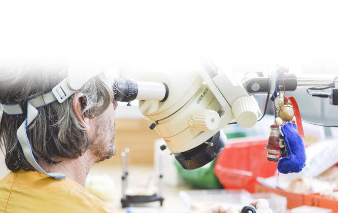 Özel ağız ve diş sağlığı klinikleri ve muayenehaneleri Laboratorio Odontotecnico Riccomini e Galli, Toskana, foto