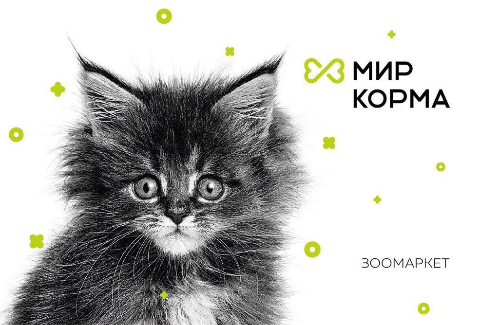 Petshop Pet Food World, Kaliningrad, foto
