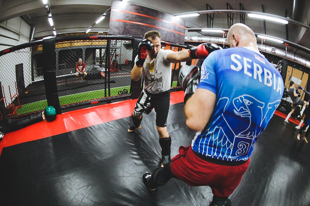 Spor kulüpleri Voronezh Fight Team, Voronej, foto