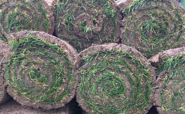 Bahçe ekipmanları ve teknolojileri Rollrasenfarm, Fribourg, foto