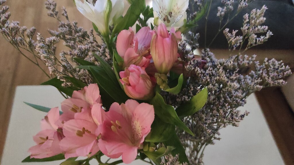 Çiçekçiler Мария, Tverskaya oblastı, foto