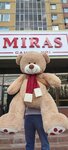 Mishki. Teddy. Astana (Buqar Jyraý kóshesі No:36Б), çocuk oyunları ve oyuncakları  Astana'dan