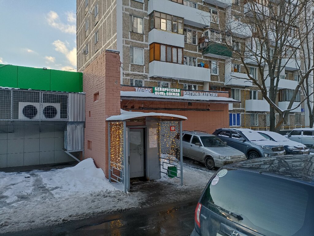 Evcil hayvan kuaförleri Zoosalon Pushisty Gnom, Moskova, foto