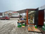 Магазин овощей и фруктов (No:48, derevnya Novoseltsy (Kozinskoye selskoye poseleniye)), manavlar  Smolenskaya oblastından