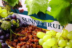 LLC Sunny Fruit (Tashkent, Sergeli District, Citizen assemblies of Qubaytepa Mahallah), kuruyemiş, atıştırmalık, kuru meyve  Taşkent'ten