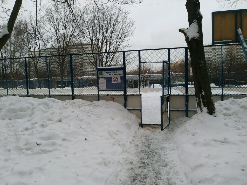 Spor alanı Dvorovaya territoriya, Moskova, foto