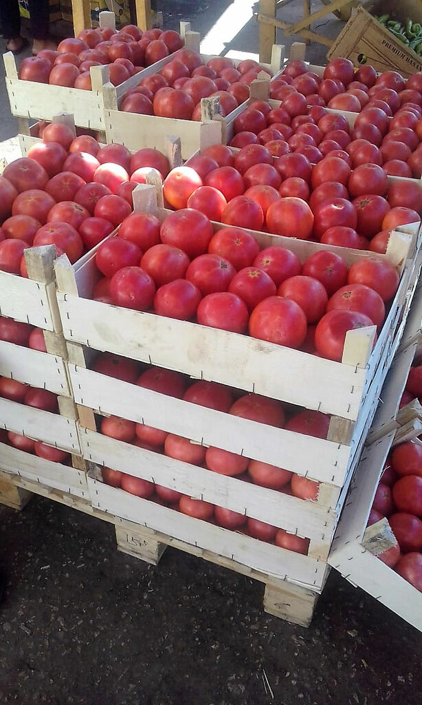 Paketleme malzemeleri firmaları Тара-Волга, Volgograd, foto