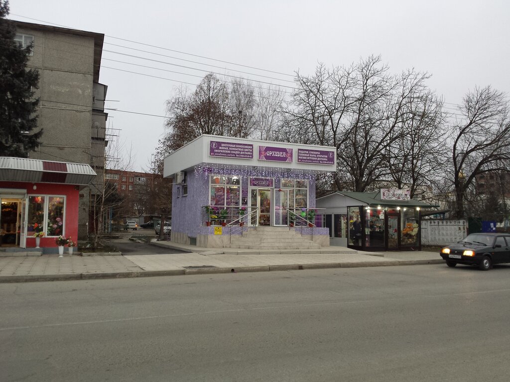 Çiçekçiler Orchids, Nartkala, foto