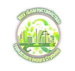 Благоустройство (Pristantsionnaya Street No:16), şehir planlama  Stupino'dan