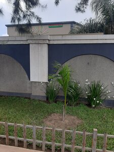 Nsimbi Yanga Lodge (Lusaka, Lumumba Road), otel  Lusaka'dan