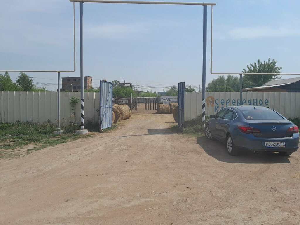 Hayvanat bahçeleri Ситиферма, Kopeysk, foto