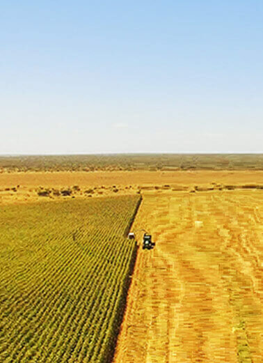 Toptan gıda mağazaları Etg Agro Industries LLC, Dubai, foto