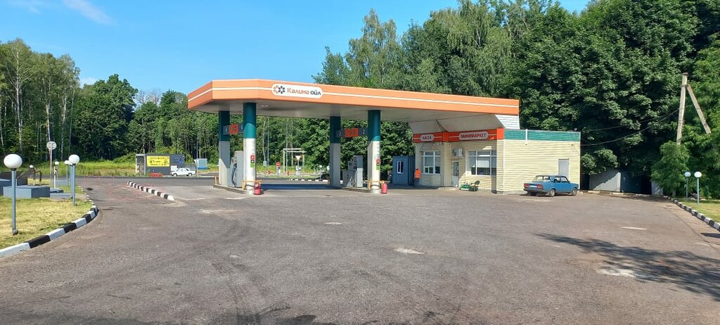 Benzin istasyonu Kalina Oil, Jeleznogorsk, foto