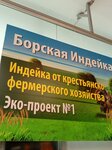 Борская индейка (Kirova Avenue No:10А), kasap, şarküteri  Samara'dan