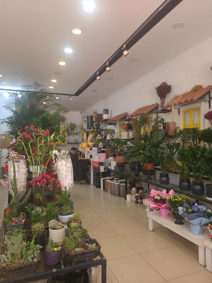 Çiçekçiler Çayyolu Çiçek Mağazası, Ankara, foto