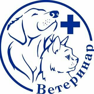 Veteriner eczaneleri Ветеринар+, Komi, foto