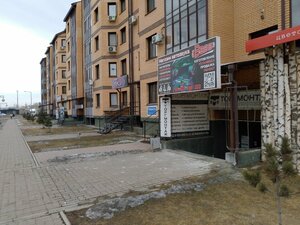 Bass (ulitsa Aviatorov No:16, Abakan), oto ses sistemleri  Abakan'dan