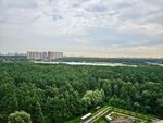 Onebed (No:1к1, kvartal № 100), otel  Moskova'dan