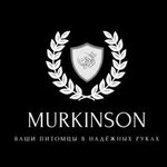 Murkinson (Bolshaya Pochtovaya Street No:34с12), pet otel  Moskova'dan