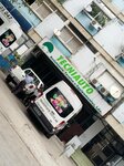 Tecniauto (Luanda Province, Municipality of Luanda, Alvalade), nakliye firmaları  Loanda'dan