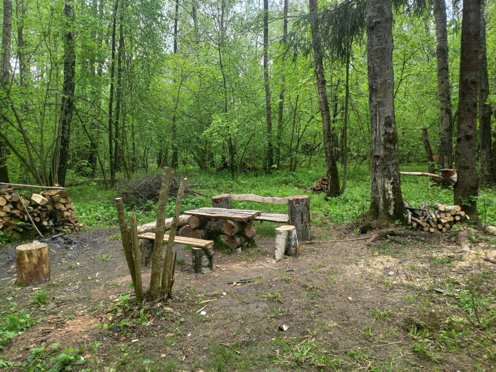 Piknik alanı Место для пикника, Moskova ve Moskovskaya oblastı, foto