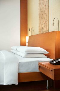 Hyatt Pune (State of Maharashtra, Pune, Ahmad Nagar Road), otel  Pune'den