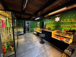 Headshop Batumi (Vaja-Pshavela Street No:73), tütün, sigara mağazaları  Batum'dan