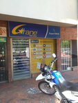 Gane (Valle del Cauca, Municipio de Santiago de Cali, Comuna 2, Centenario, Avenida 3, 8-24), şans oyunları  Cali'den